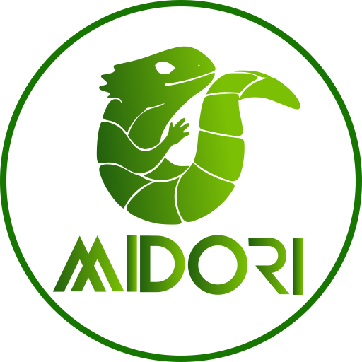 Astian, Inc - Midori 11.3.1 Una actualización de mantenimiento