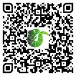 Astian, Inc - Midori for Linux Download